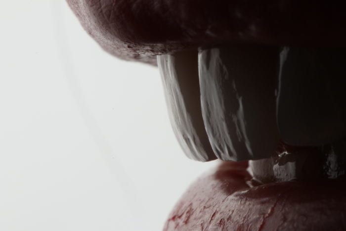 Dentist Mt. Pleasant MI | Cosmetic Dentistry | Raymond Ribitch DDS